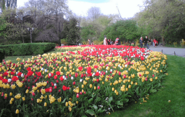 Bucharest in Spring: How to Enjoy the City in Springtime - Visit Bucharest