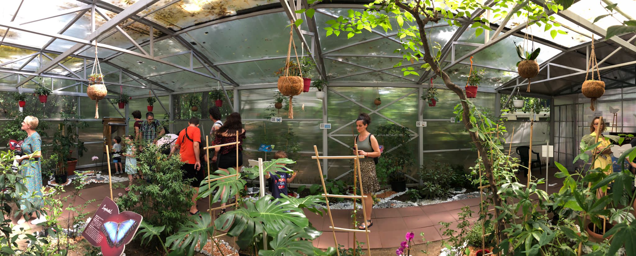 Live Butterflies Exhibition in Bucharest - Visit Bucharest