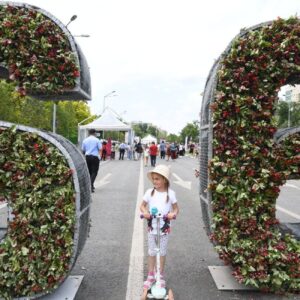 Garden of Lights Bucharest: October 25, 2024 - March 2, 2025 - Visit ...