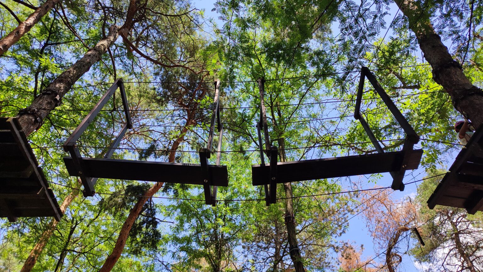 A Day Trip to Comana – Adventure Park & Wild Landscapes - Visit Bucharest