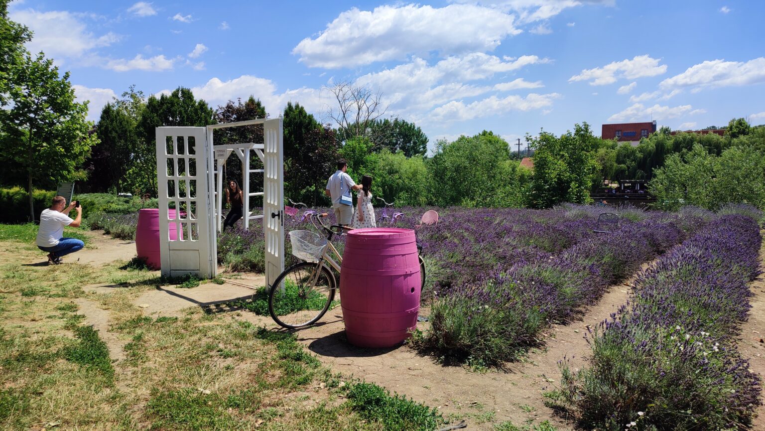 A Day Trip to Comana – Adventure Park & Wild Landscapes - Visit Bucharest
