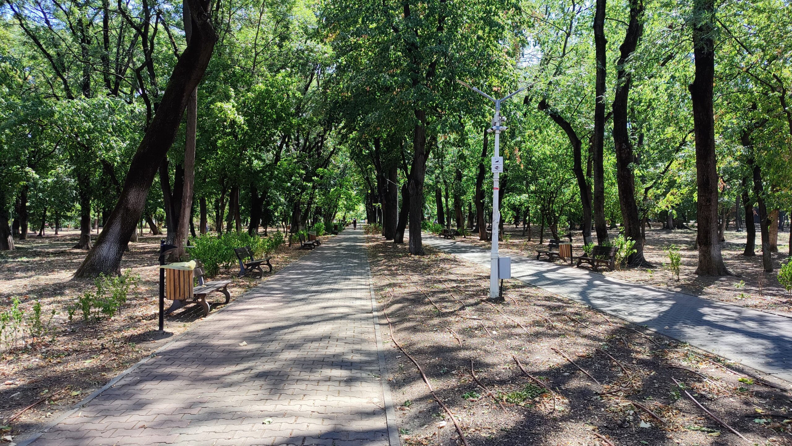 Kiseleff Park - Visit Bucharest