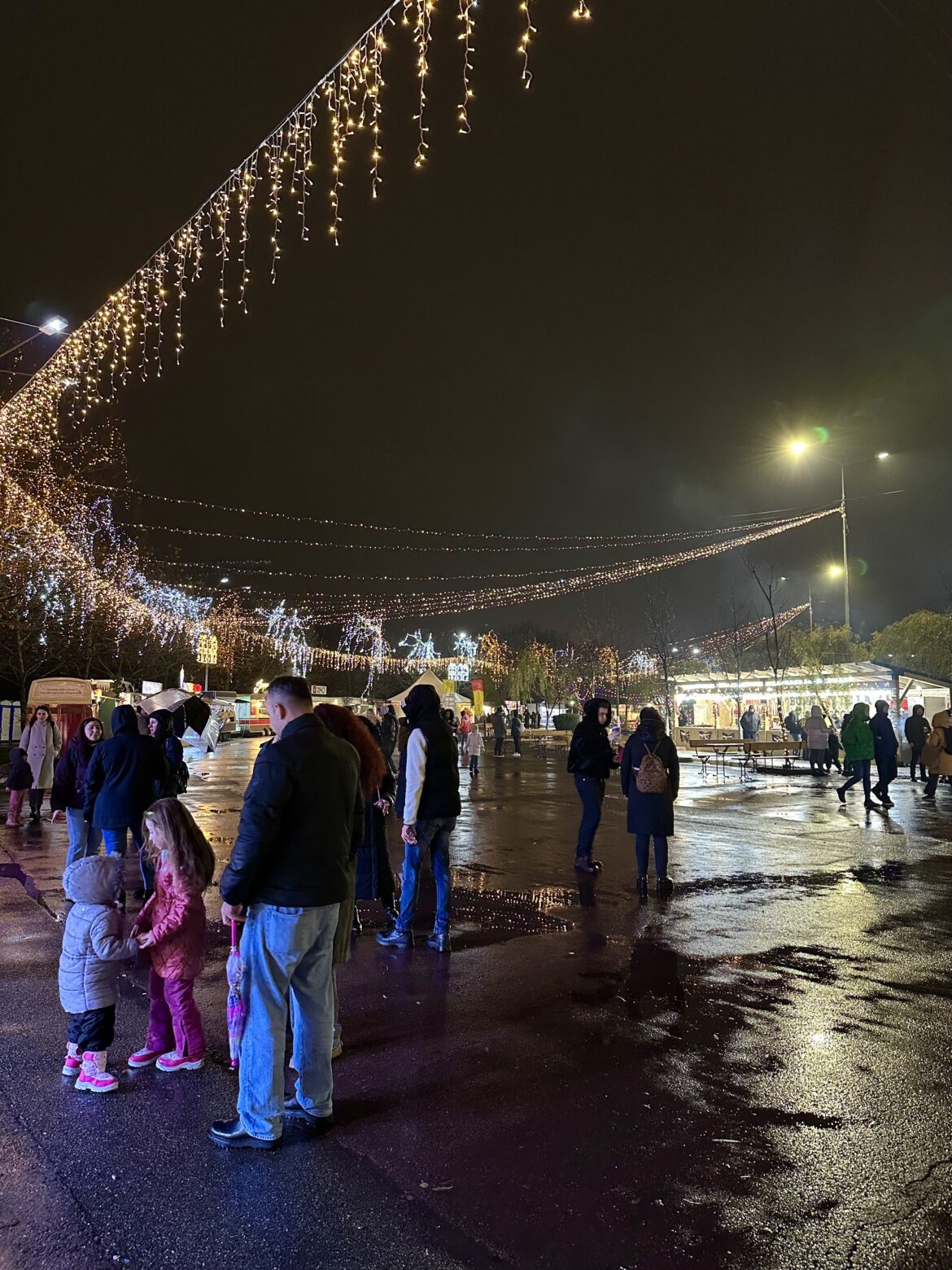 The Land of Ice - Taramul de Gheata Christmas Market in Lumea Copiilor ...