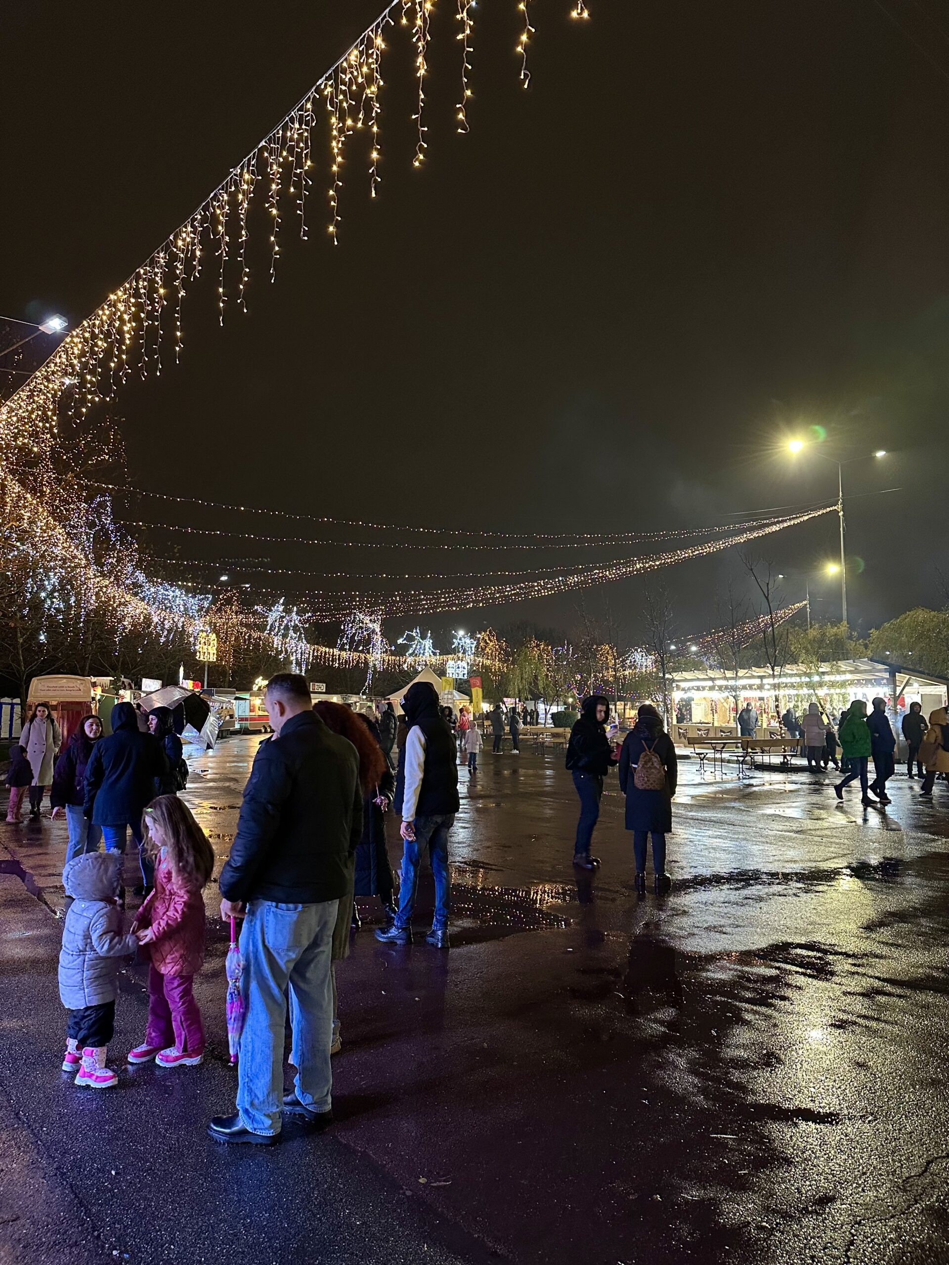 The Land of Ice - Taramul de Gheata Christmas Market in Lumea Copiilor ...