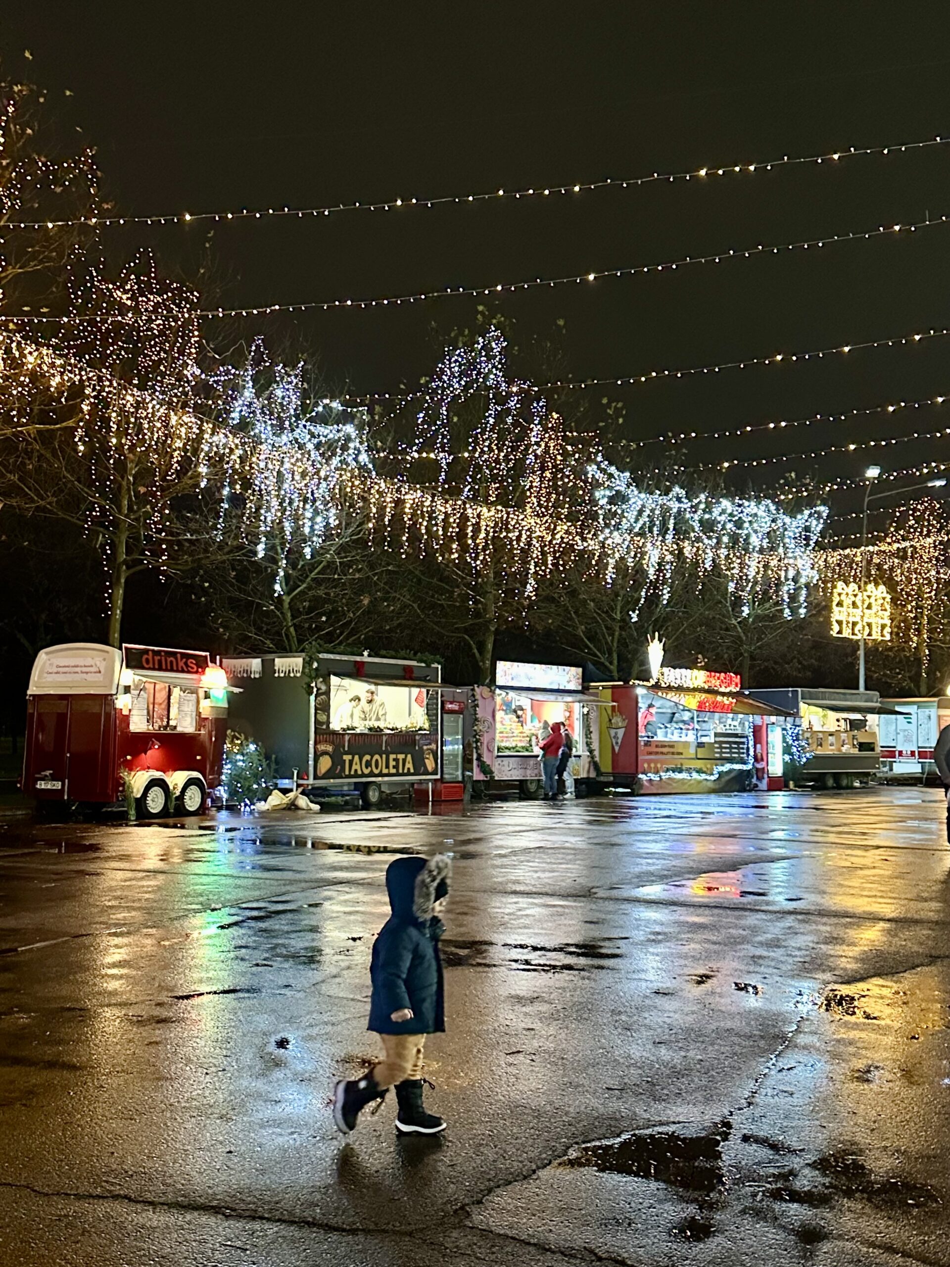The Land of Ice - Taramul de Gheata Christmas Market in Lumea Copiilor ...