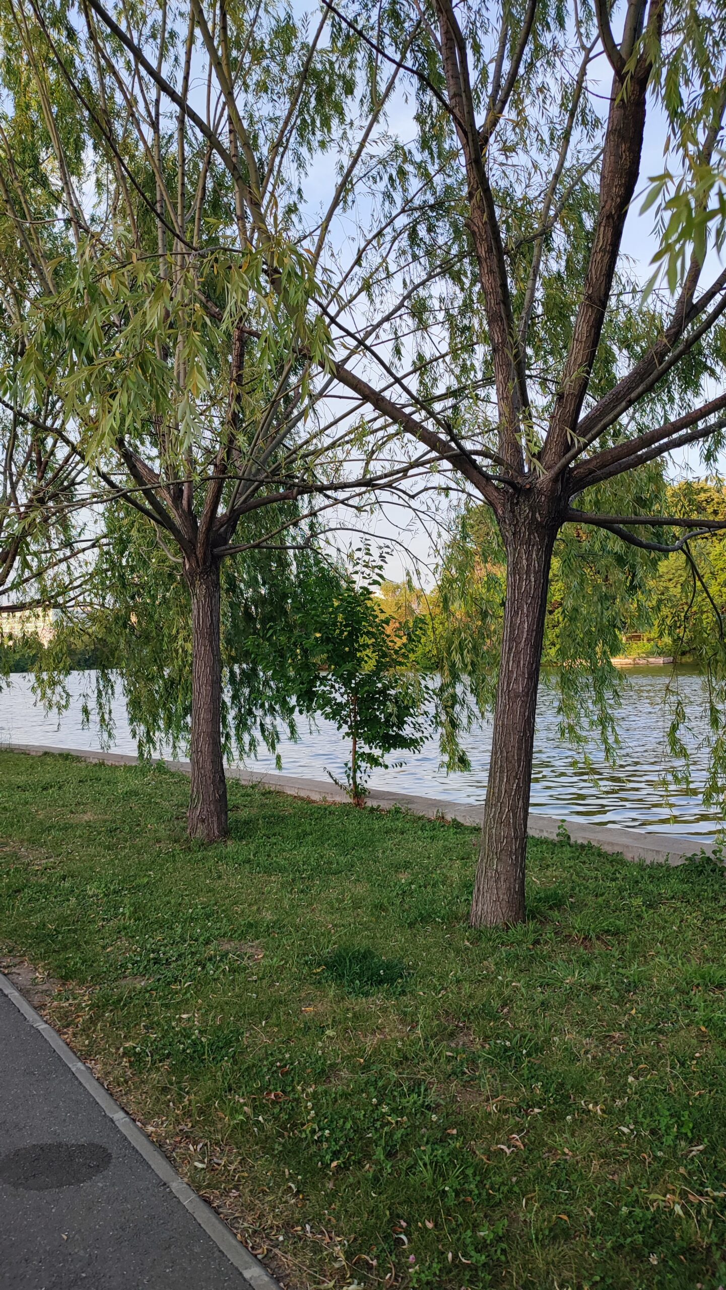 Bordei Park - Visit Bucharest