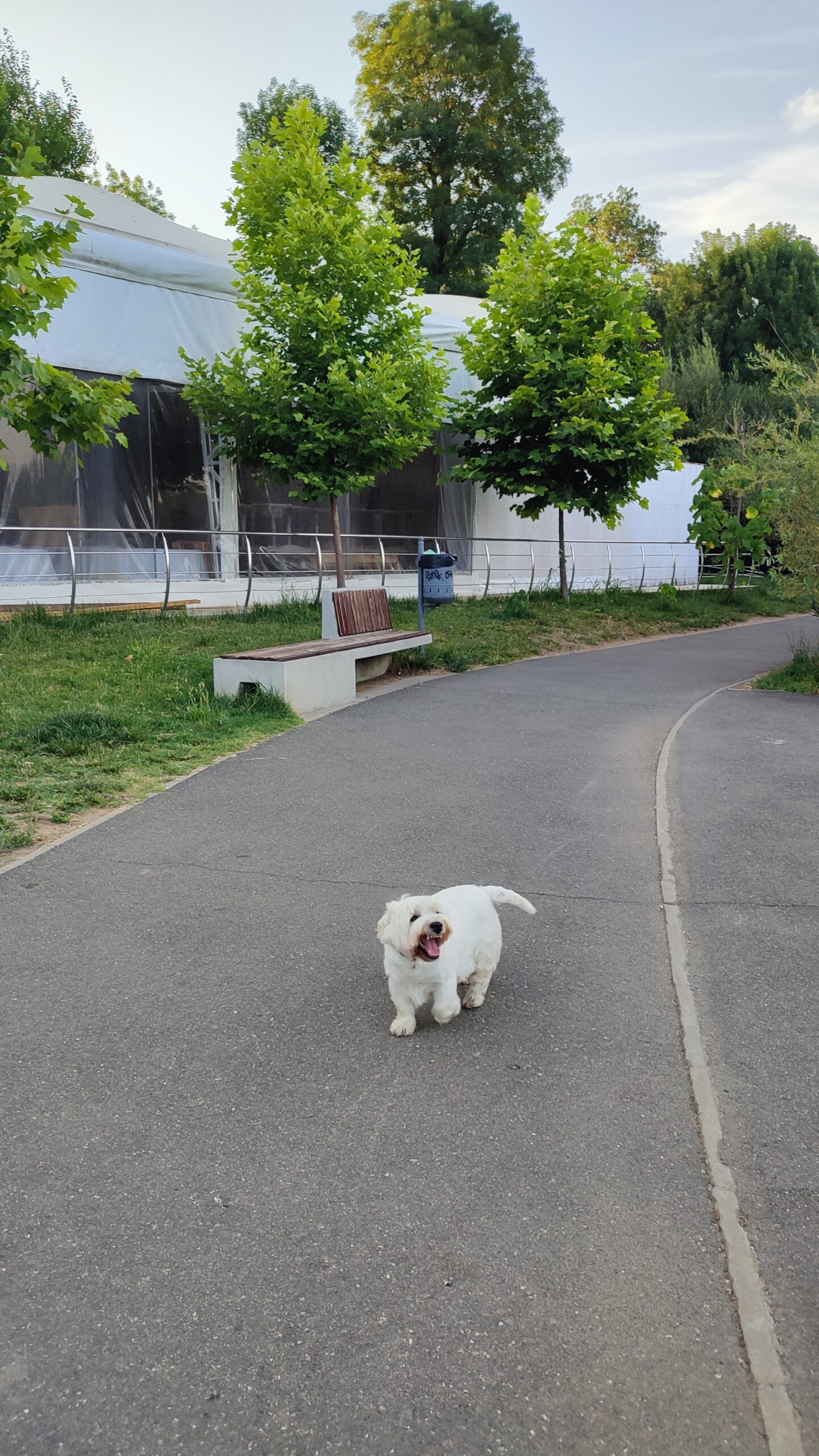 Bordei Park - Visit Bucharest